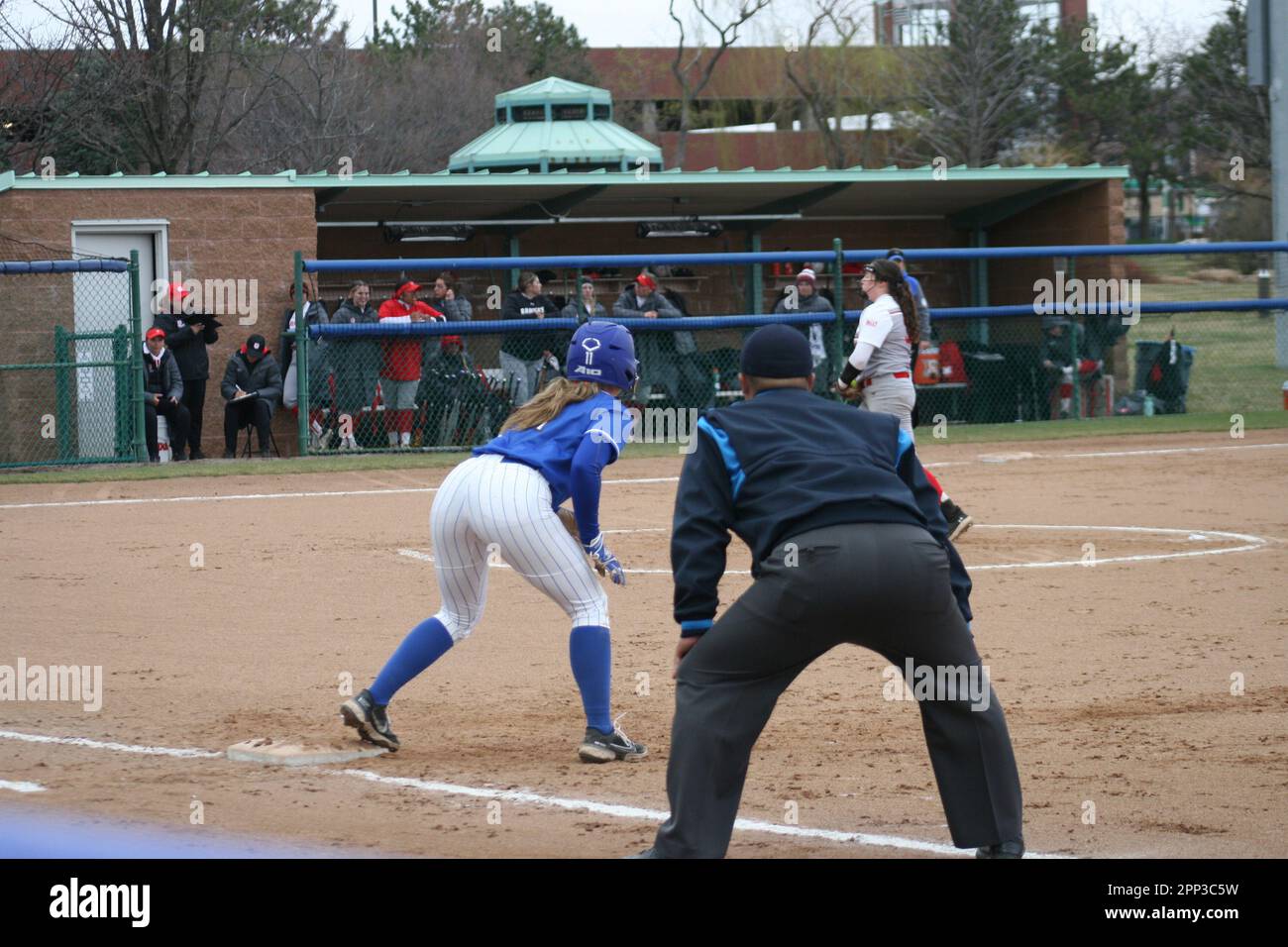 St louis university softball hi-res stock photography and images - Alamy