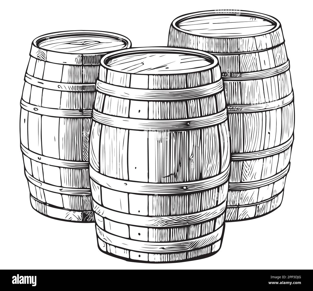 Beer wooden barrels hand drawn sketch Beer brewing illustration Stock ...