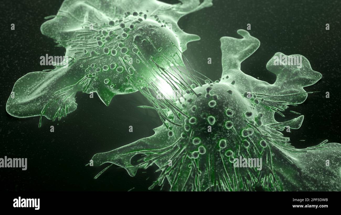 Cancer cells dividing, illustration Stock Photo - Alamy