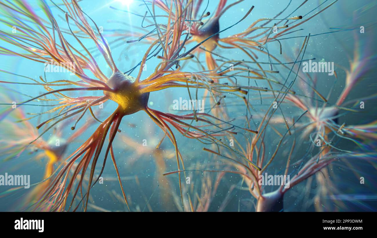 Astrocyte cells, illustration Stock Photo - Alamy