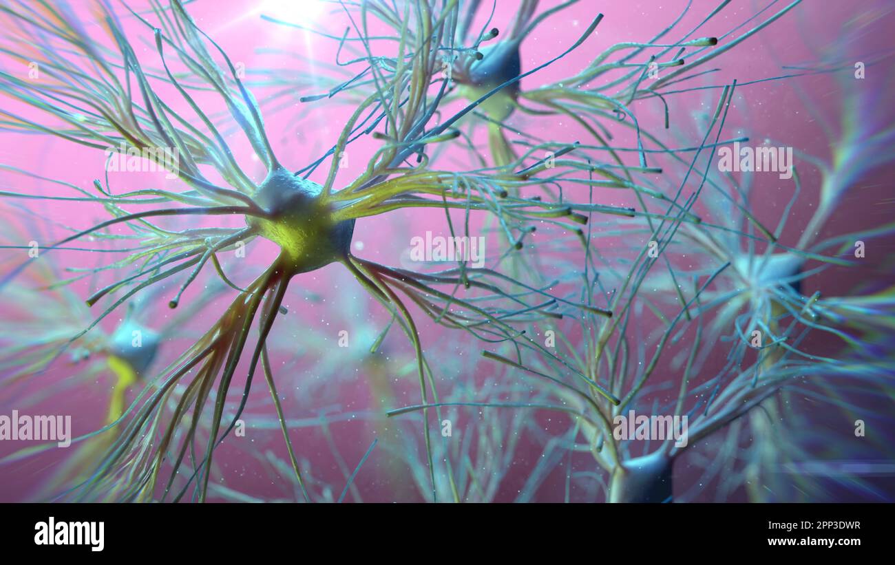 Astrocyte cells, illustration Stock Photo - Alamy