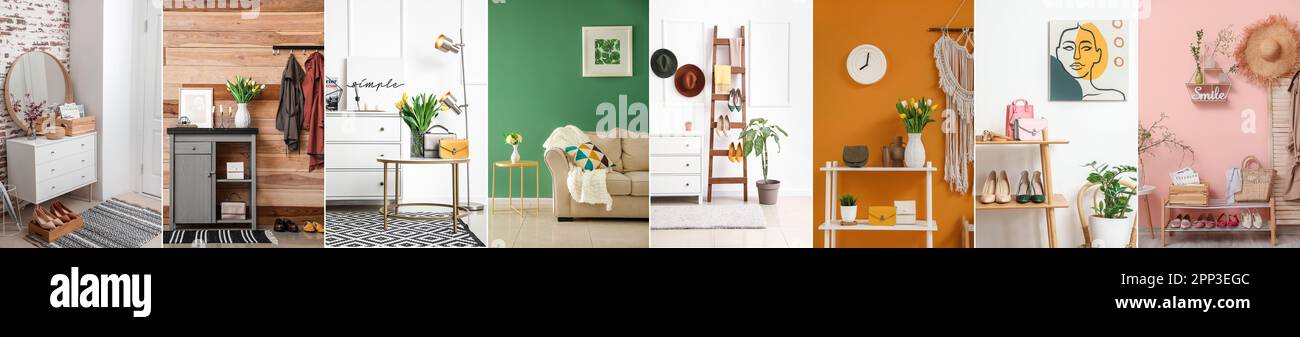 Collage of stylish interiors with spring flowers and houseplants Stock ...