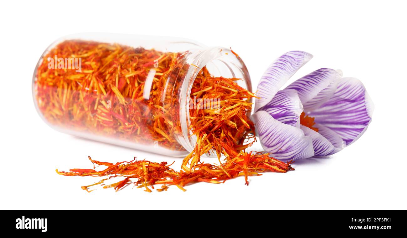 Overturned jar of dried saffron threads and crocus flower isolated on ...
