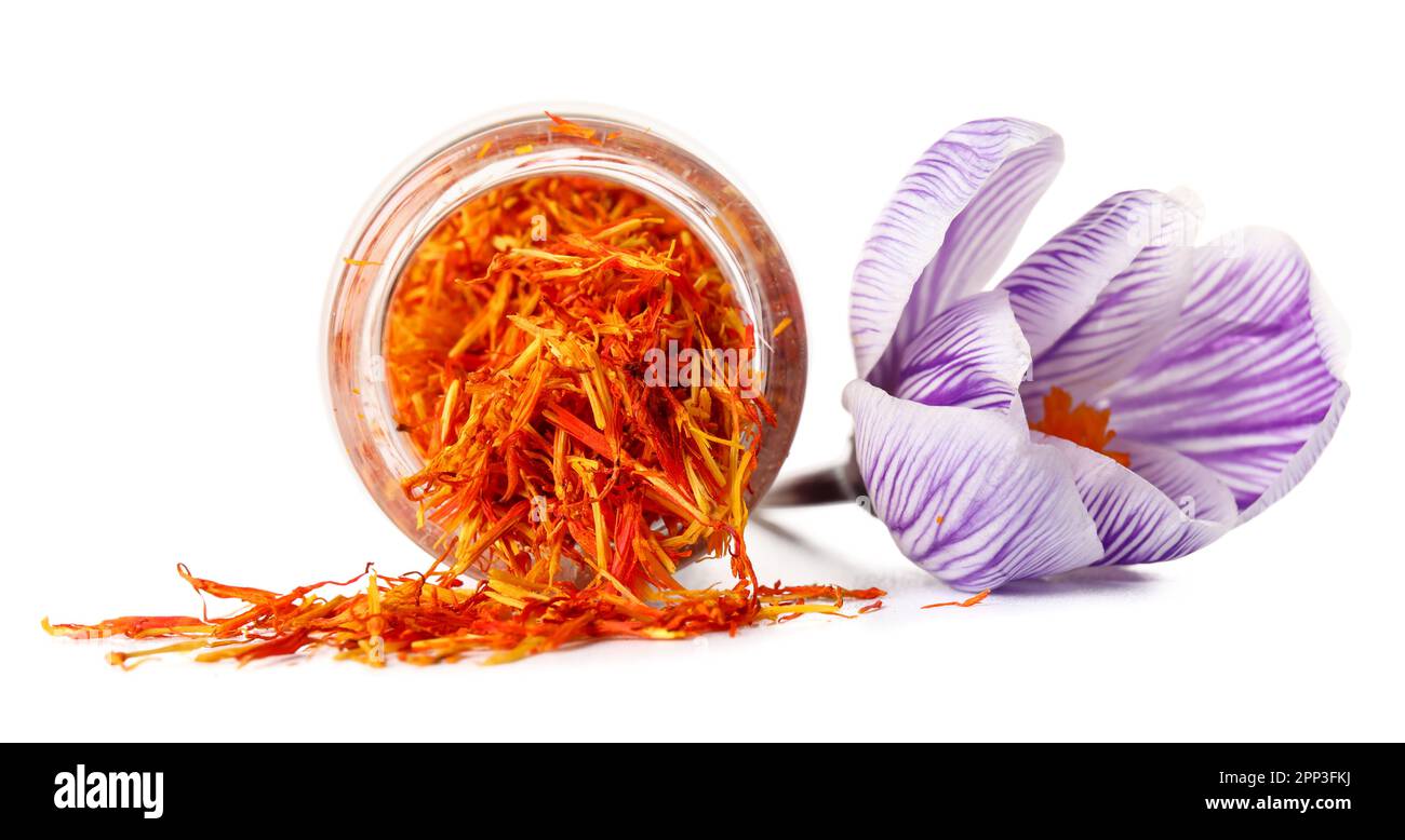Overturned jar of dried saffron threads and crocus flower isolated on ...