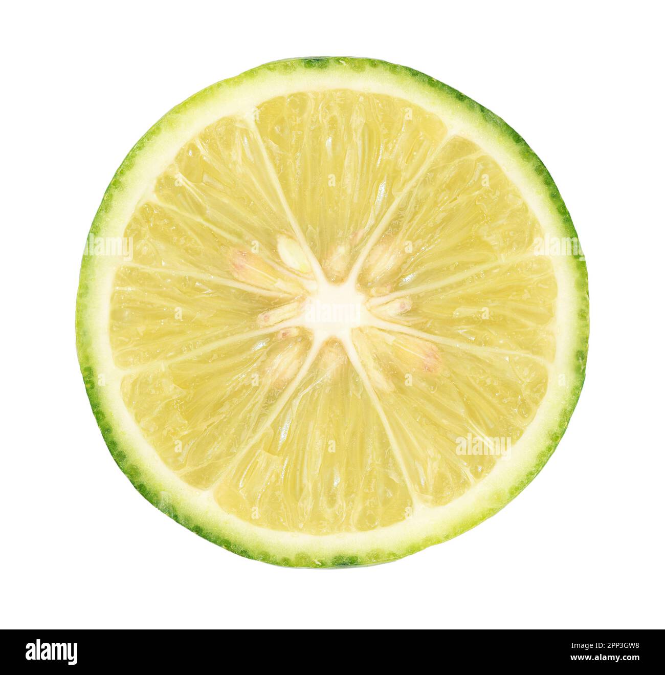 Lime cut in half isolated on white background Stock Photo - Alamy