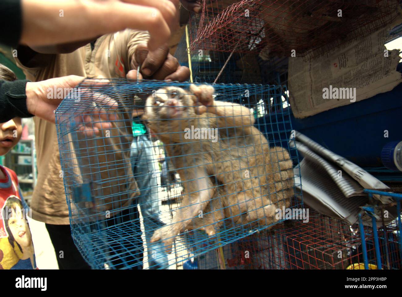 A roadside animal vendor near an animal market that also sells wildlife ...