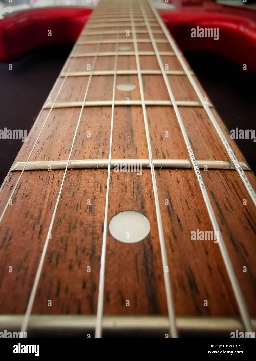 close up shot of fingerboard guitar , rosewood fingerboard with abalone ...