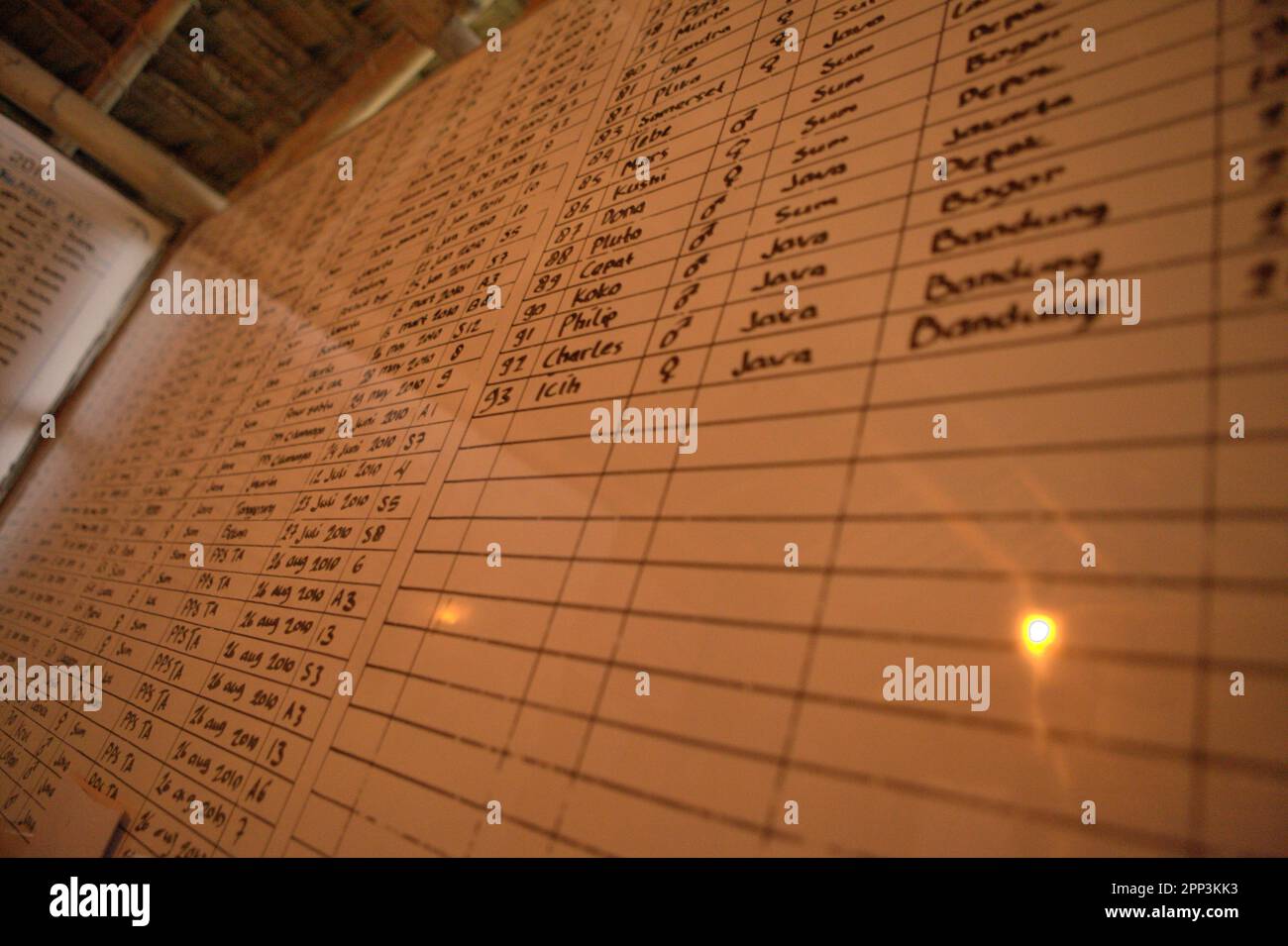 A list of slow lorises being rehabilitated is written on a whiteboard ...