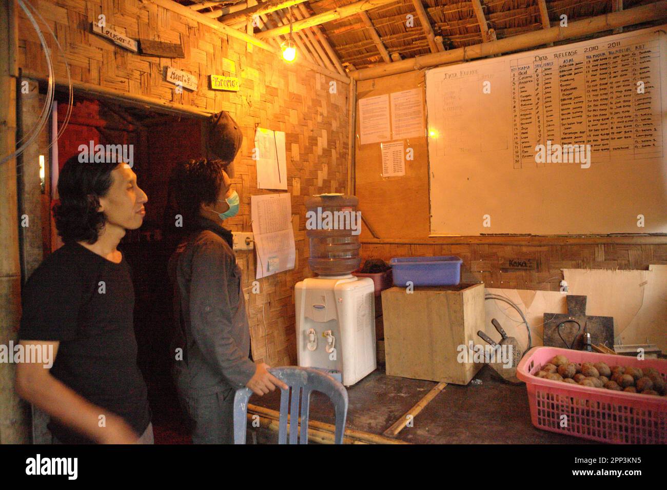 Slow loris conservation hi-res stock photography and images - Alamy