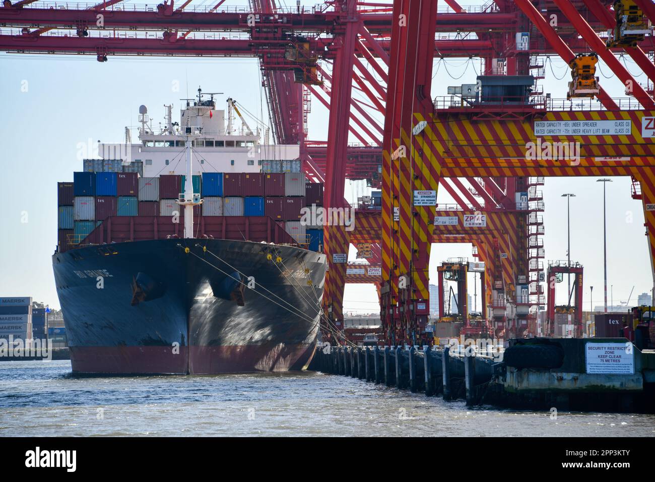 Container Ships Being Unloaded in Port Melbourne by Cranes, Port ...