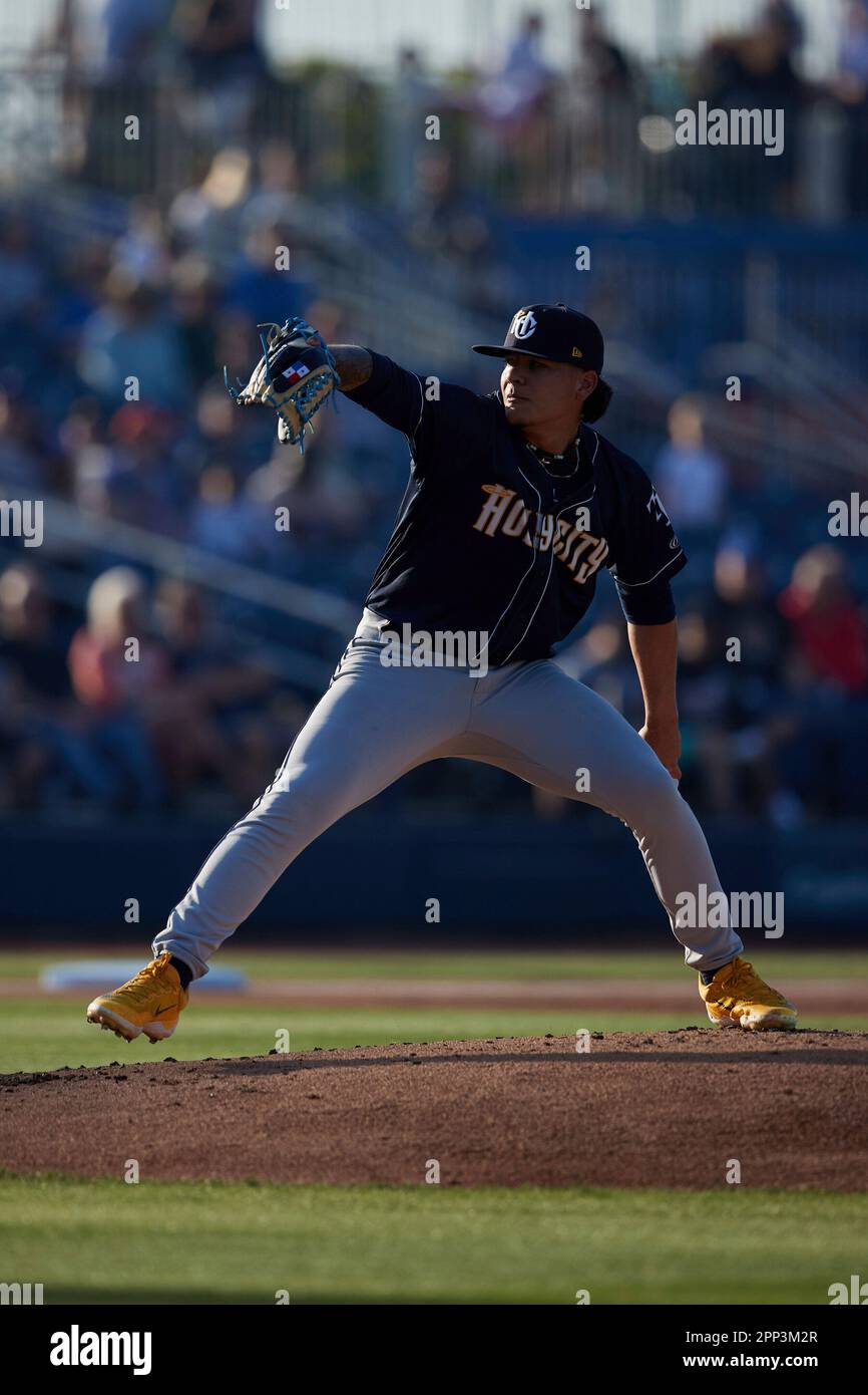 Charleston RiverDogs starting pitcher Alex Ayala Jr. (15) in action ...