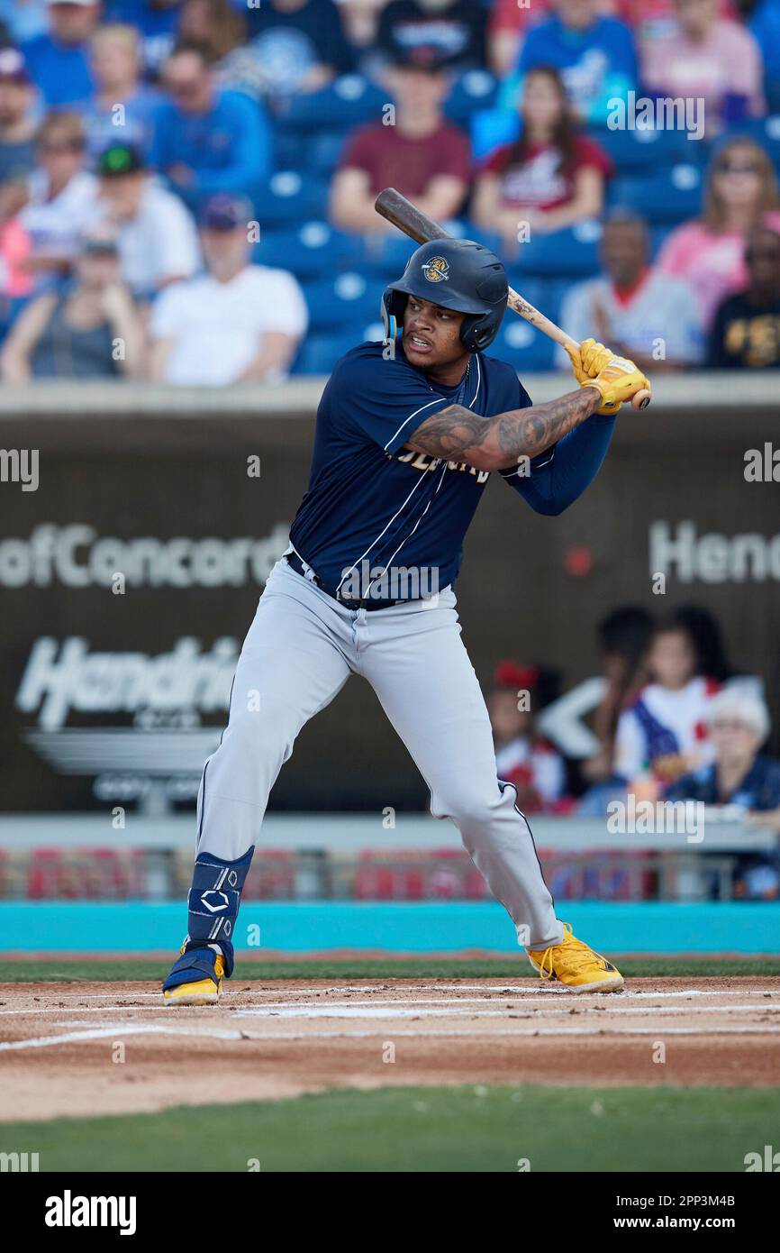 Xavier Isaac (11) of the Charleston RiverDogs at bat against the ...