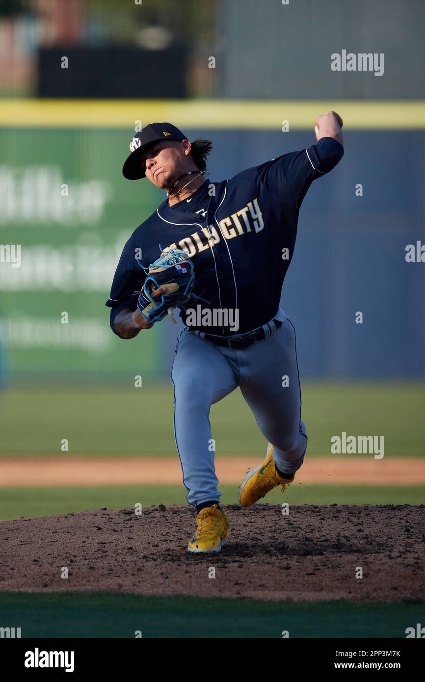 Charleston RiverDogs starting pitcher Alex Ayala Jr. (15) in action ...