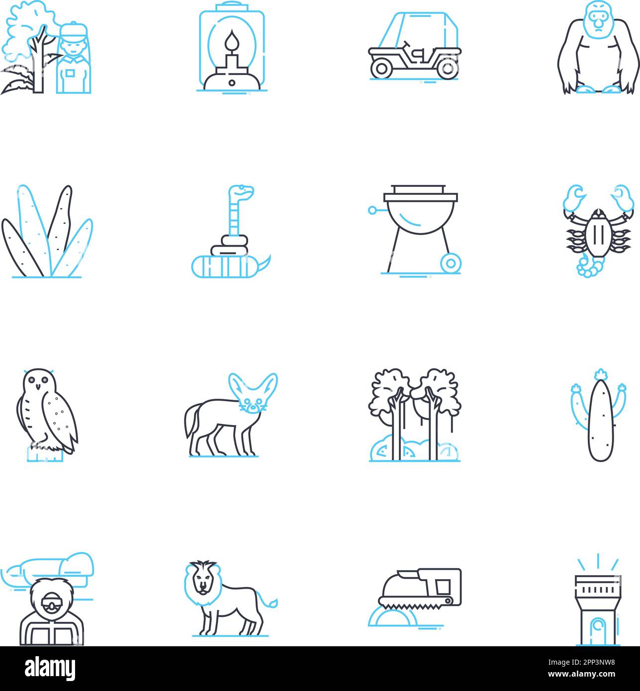 Forest linear icons set. Sylva, Arboretum, Canopy, Flora, Fauna ...