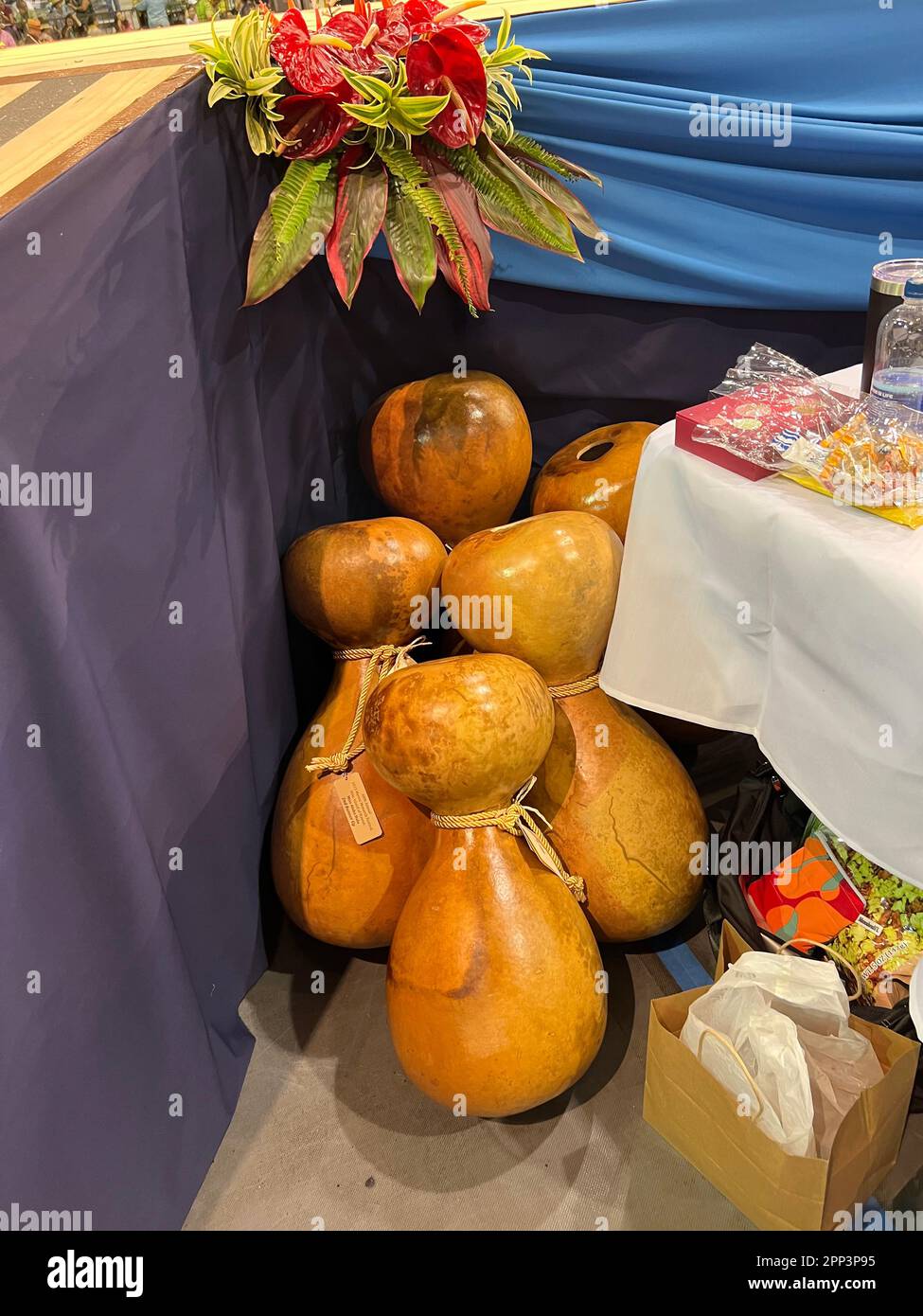 Ipu gourd drums at the Merrie Monarch festival in Hilo on Hawaii Stock ...