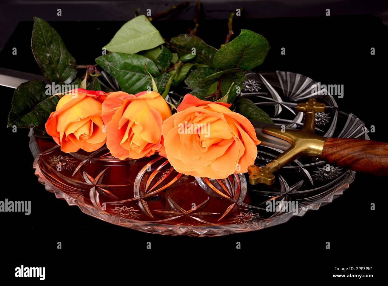 Hand on sword hilt hi-res stock photography and images - Alamy