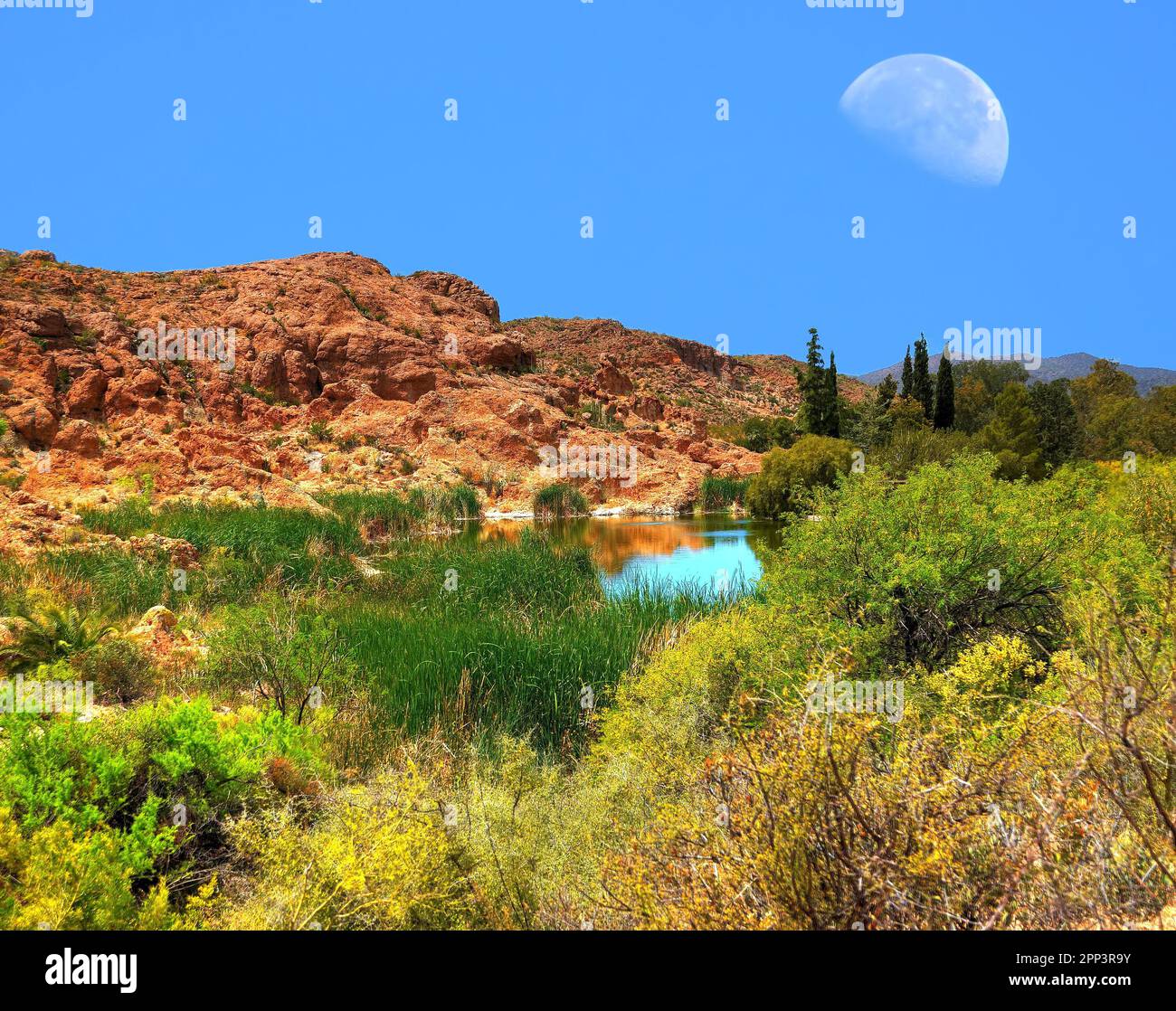 Majestic winter scenes in nature hi-res stock photography and images ...