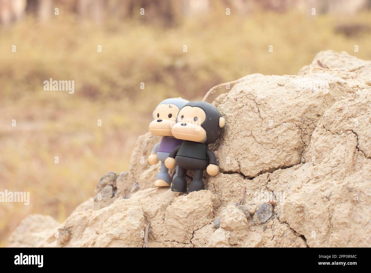 infrared image of the monkey toys on the dried plateau hill Stock Photo ...