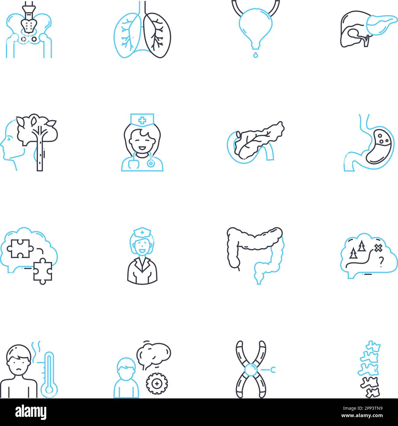 Household wellbeing linear icons set. Cleanliness, Organization ...