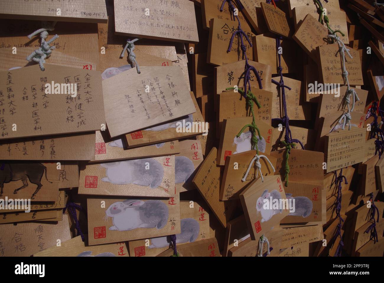Japanese Ema wishes at a shrine in Tokyo Stock Photo - Alamy