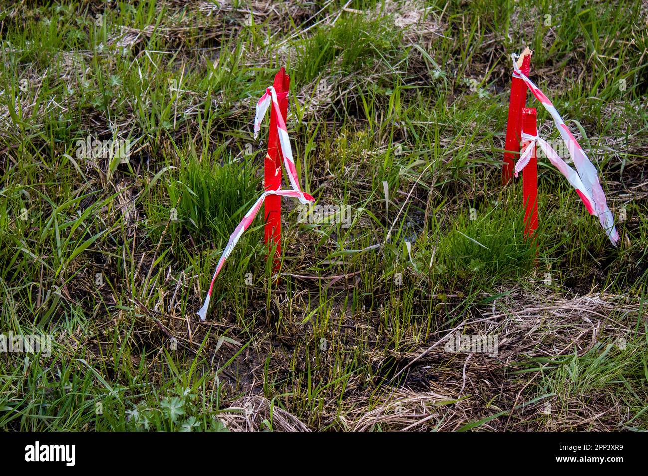 Various Russian anti-tank, anti-personnel and explosive mines collected ...