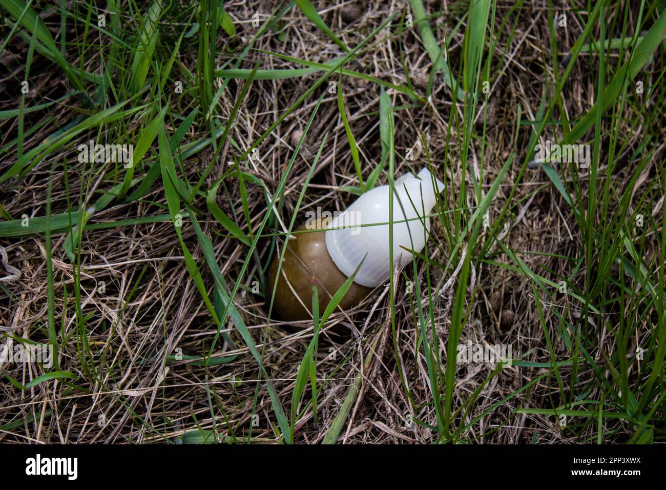 Various Russian anti-tank, anti-personnel and explosive mines collected ...