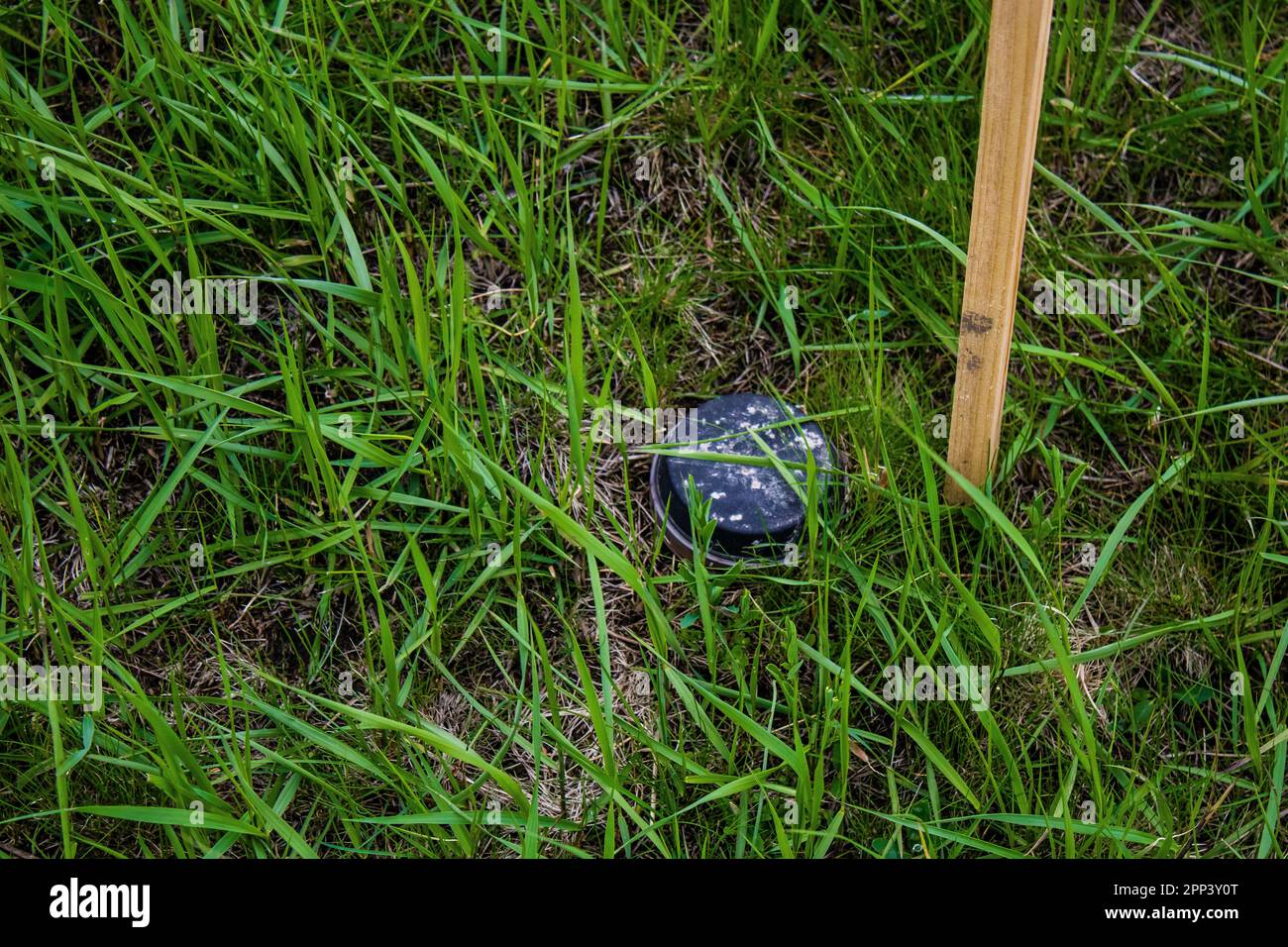 Various Russian anti-tank, anti-personnel and explosive mines collected ...