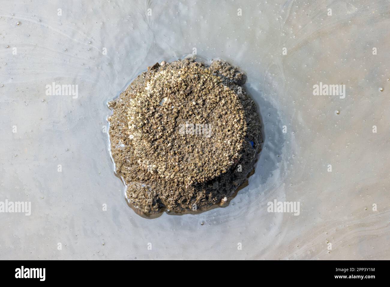 Antique water jug hi-res stock photography and images - Alamy