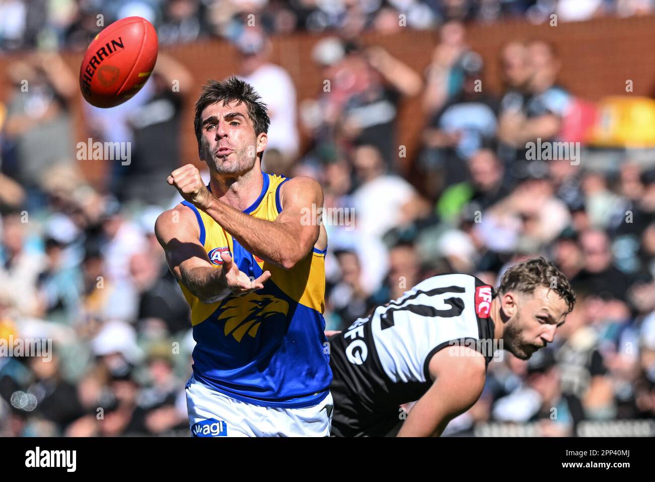 Andrew Gaff of the West Coast Eagles handballs after evading Trent ...