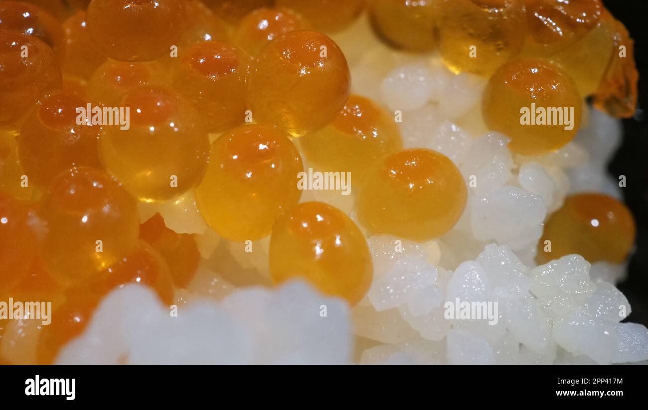 Close up of sashimi salmon roe with rice bowl or donburi in Japanese ...