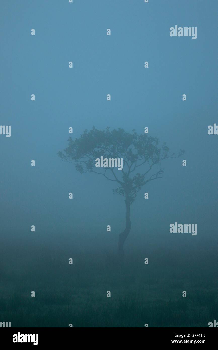 Rule of thirds images hi-res stock photography and images - Alamy