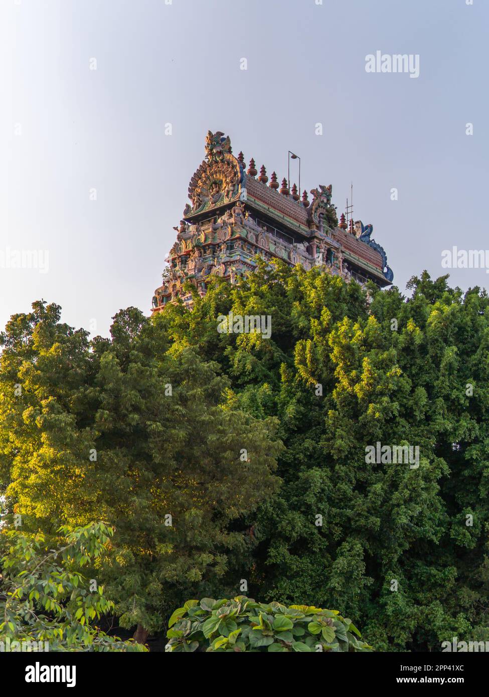 In Tamil Nadu, the famed Hindu temple of Chidambaram Temple honours ...