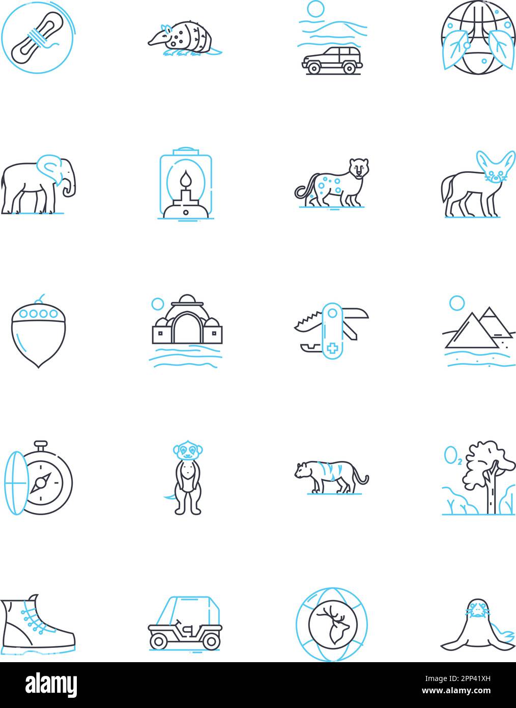 Forest linear icons set. Sylva, Arboretum, Canopy, Flora, Fauna ...