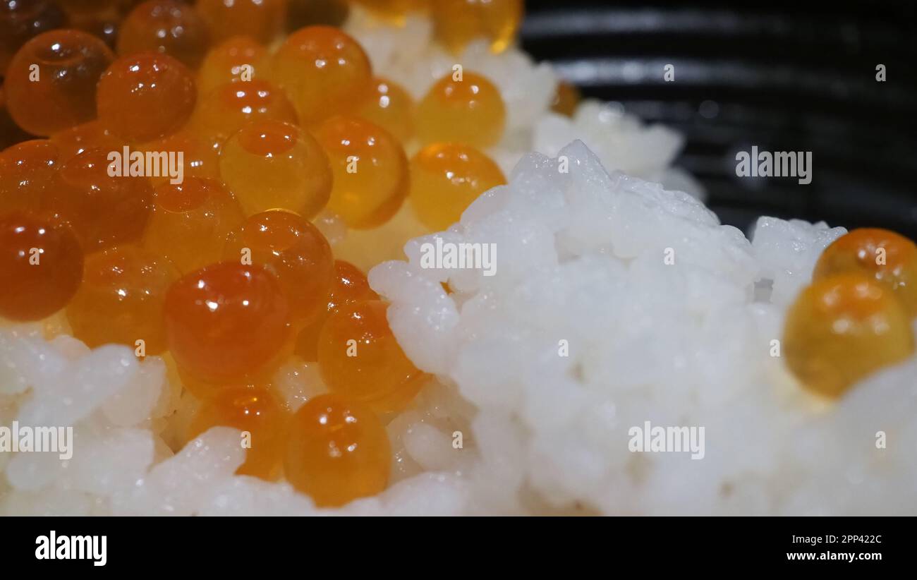 Close up of sashimi salmon roe with rice bowl or donburi in Japanese ...