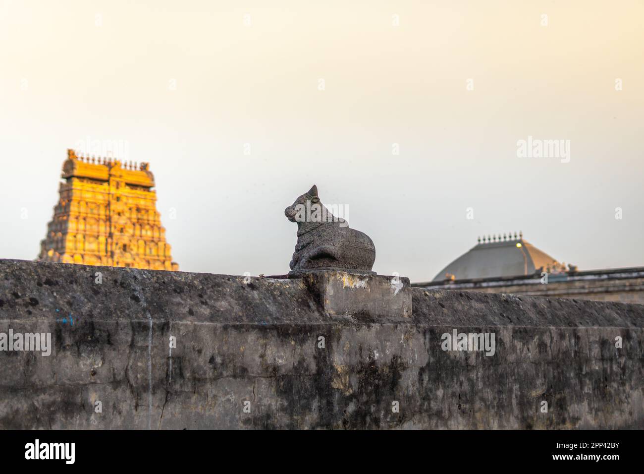Thillai natarajar temple hi-res stock photography and images - Alamy
