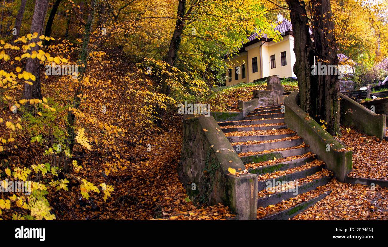Autumn is a beautiful season in Romania, known for its picturesque ...