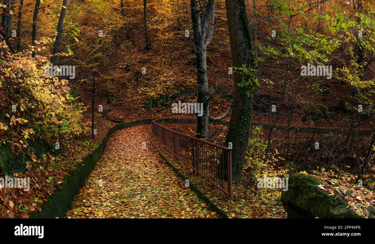 Autumn is a beautiful season in Romania, known for its picturesque ...