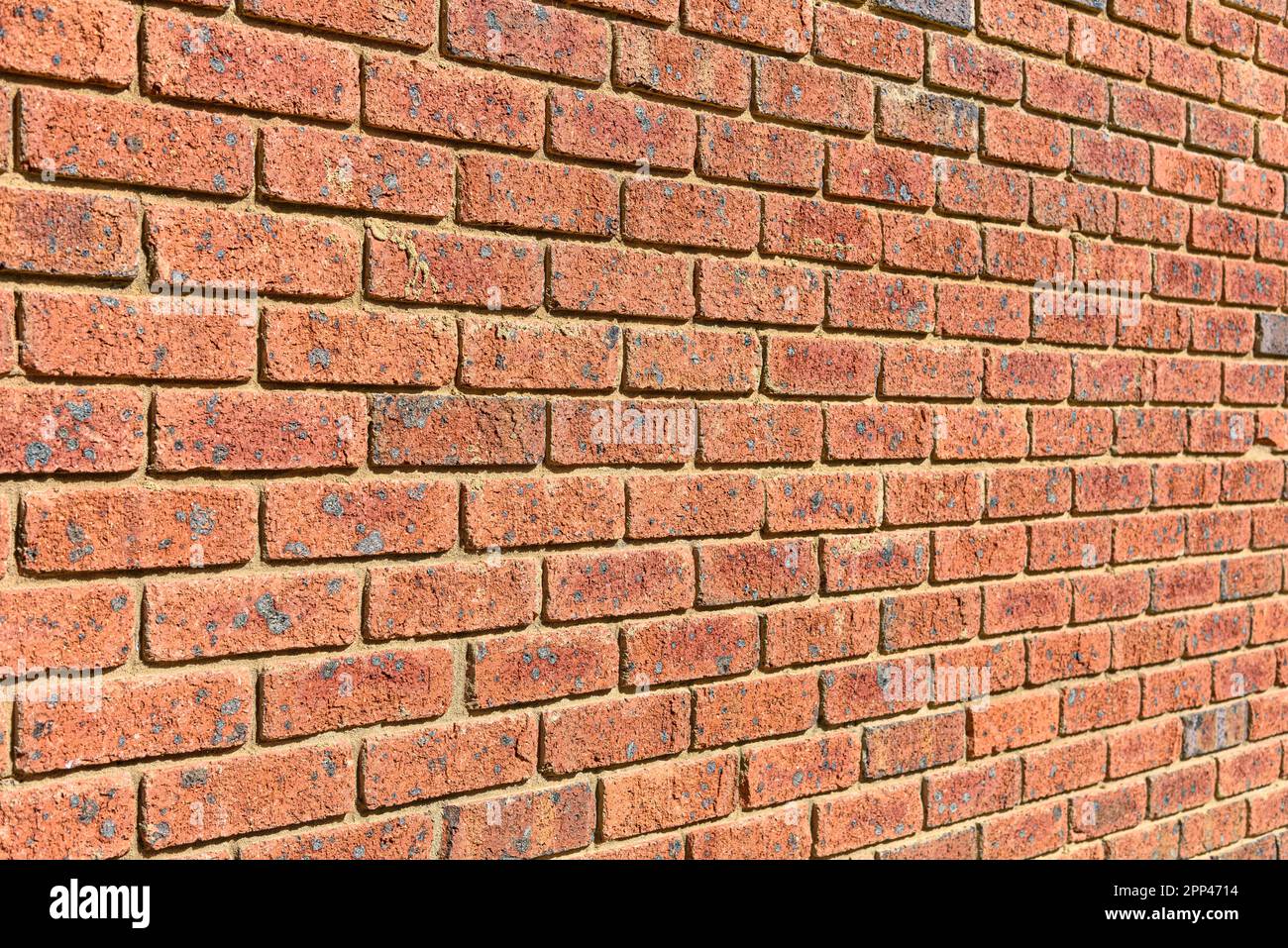 A red brick wall with many of the bricks having black spots on them ...