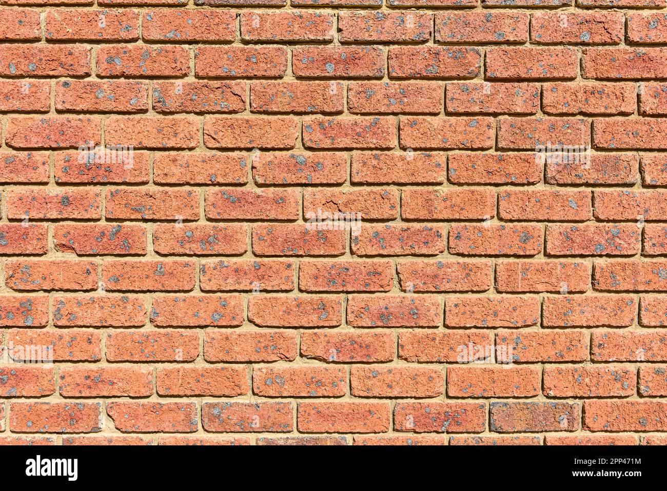 A red brick wall with many of the bricks having black spots on them ...