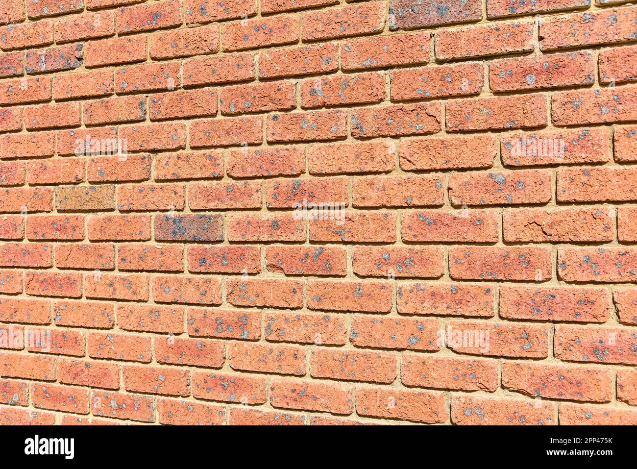 A red brick wall with many of the bricks having black spots on them ...