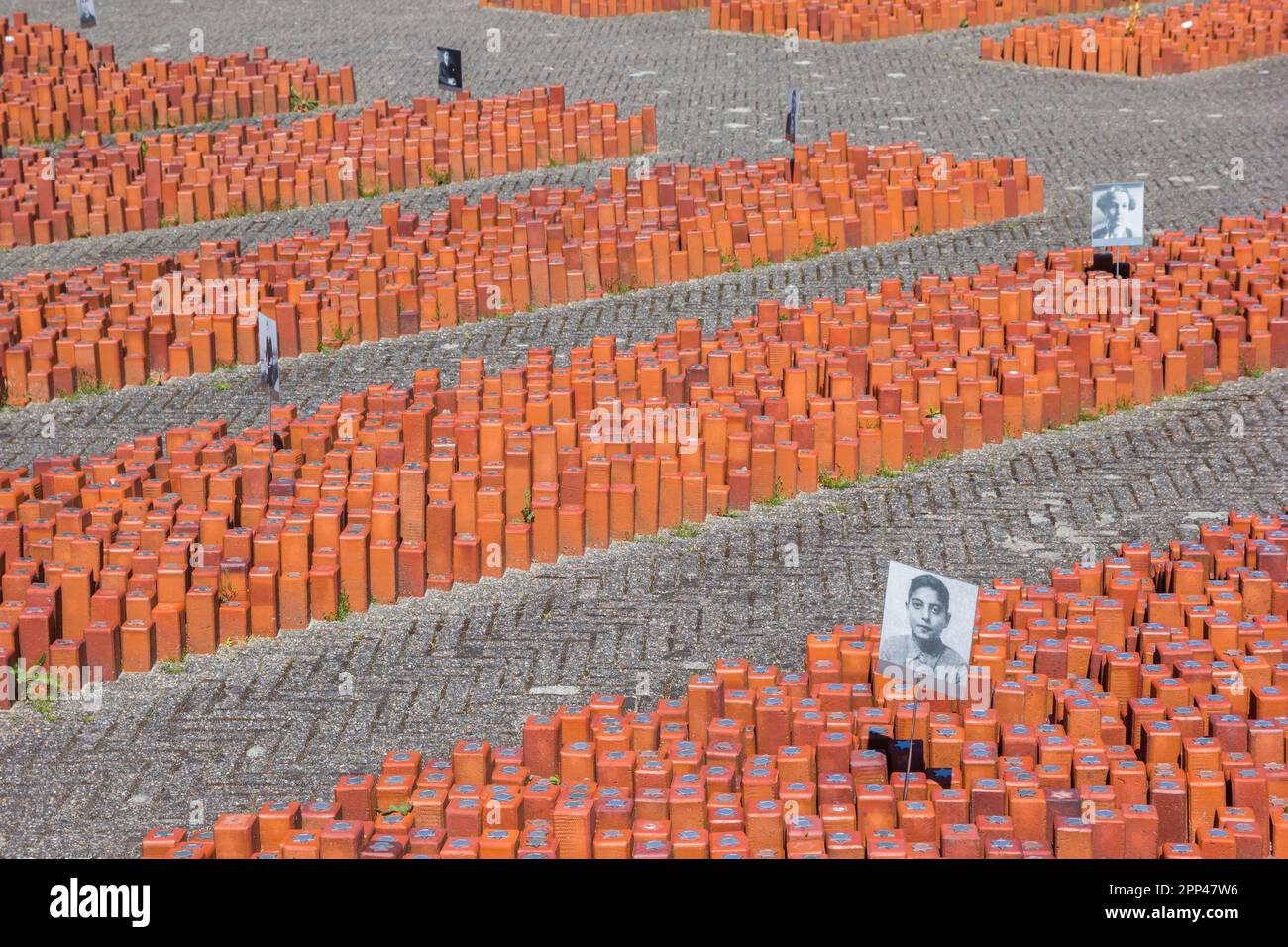 Red bricks with stars and photos in national monument Westerbork ...