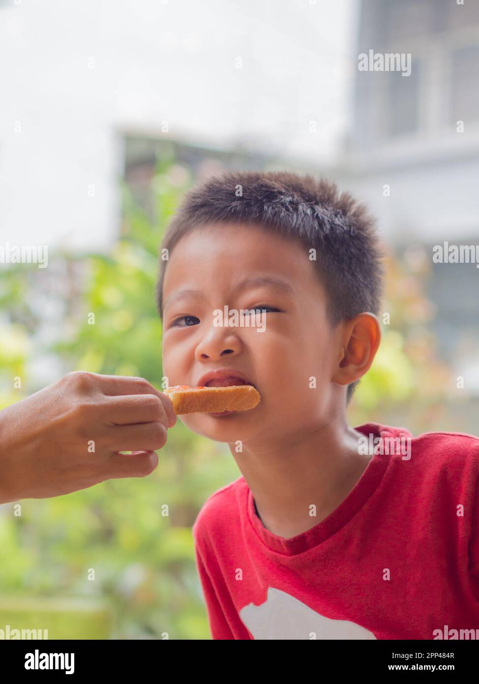 Asian boy eat a bread by another hand Stock Photo - Alamy
