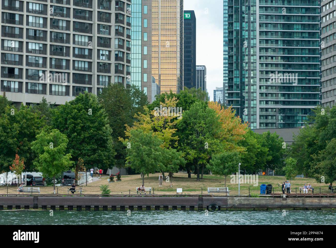 Toronto, ON, Canada - August 21, 2022: View of Downtown Toronto from ...