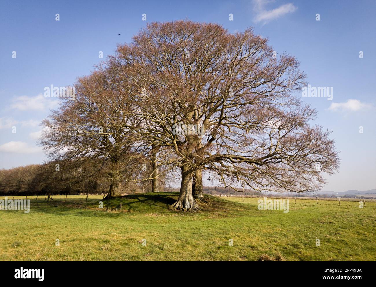Stonhenge view hi-res stock photography and images - Alamy