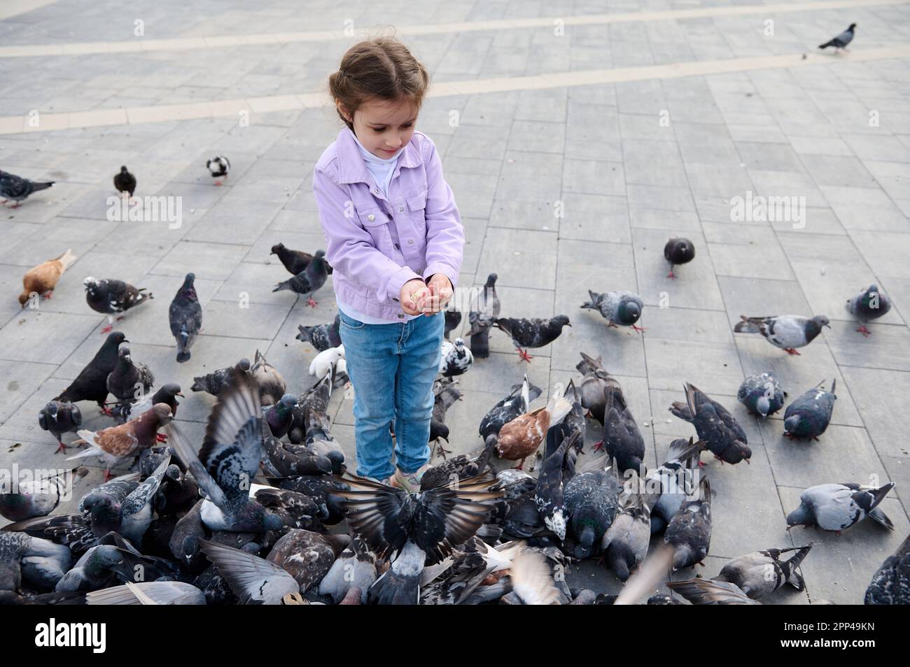 Adorable little girl, smiling, having fun, feeding feral pigeons in the ...