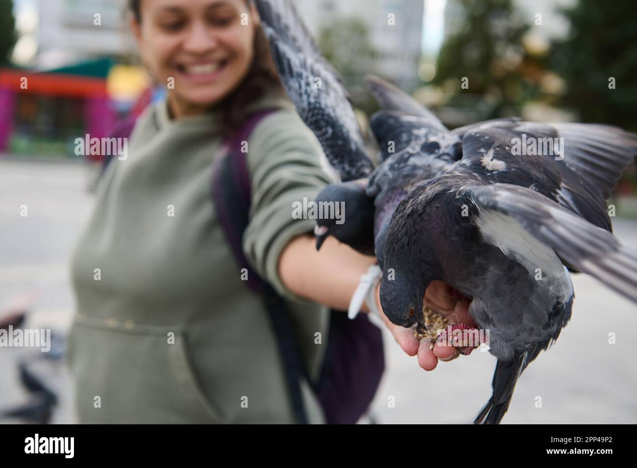 Selective focus on rock pigeons, sitting on the outstretched hand of a ...