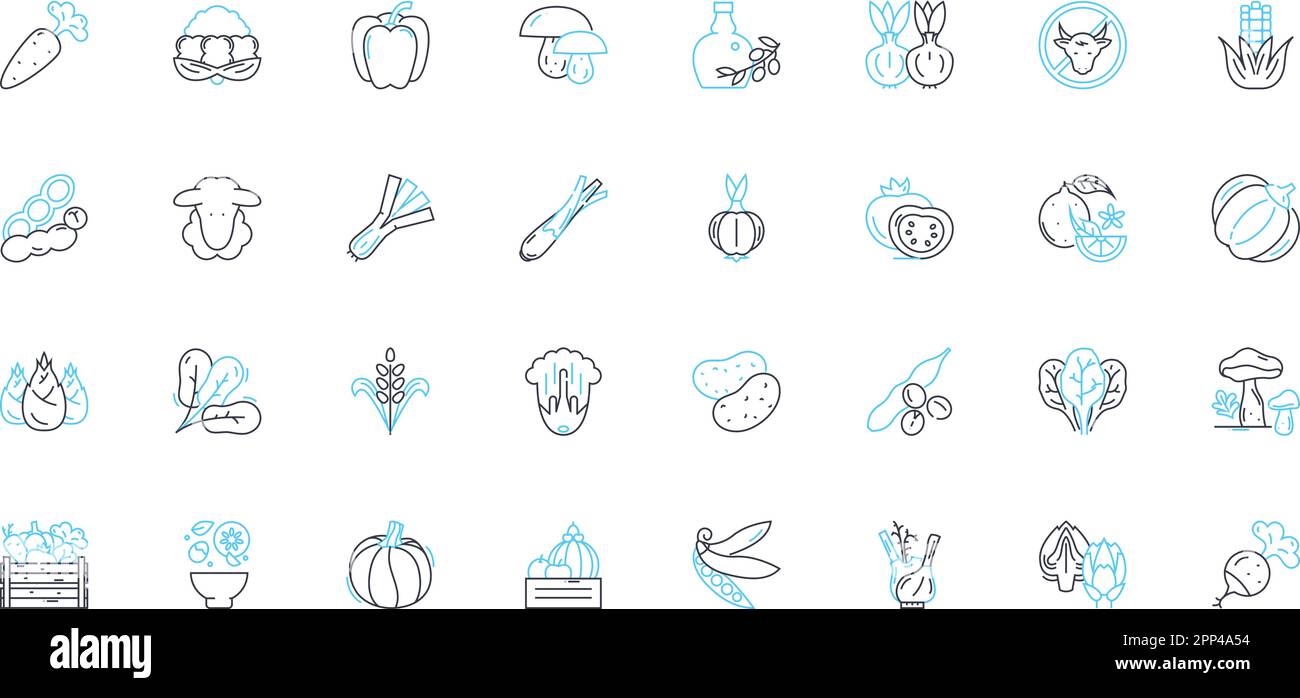 Balanced nutrition linear icons set. Health, Energy, Protein ...