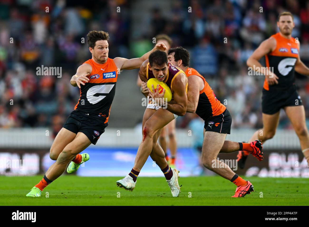 Brandon Starcevich of the Lions fights for the ball with Brent Daniels ...