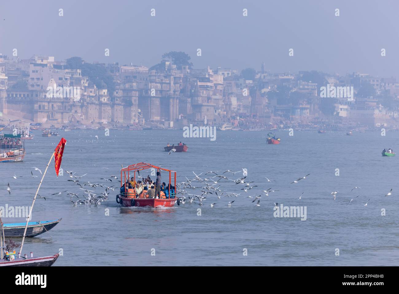 Tourists enjoying boat ride in the river ganges along with the herd of ...