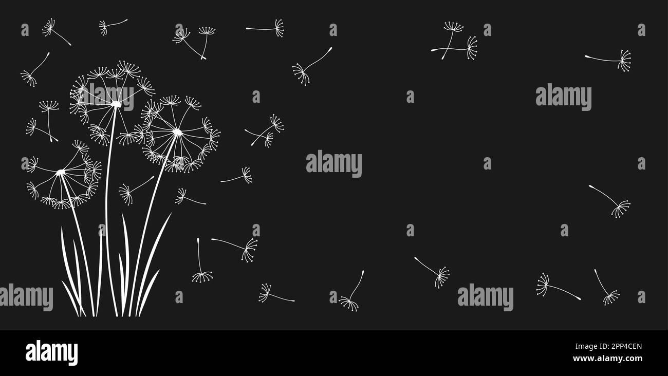 Dandelion with flying seeds engraved banner, background. Abstract ...